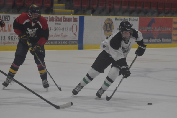 Picton Pirates